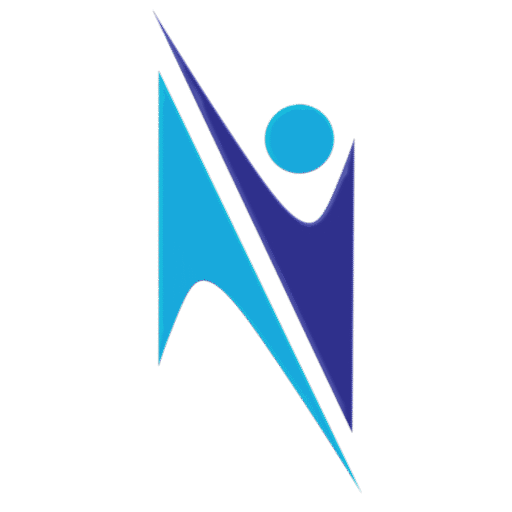 IT Services - nSearch Global